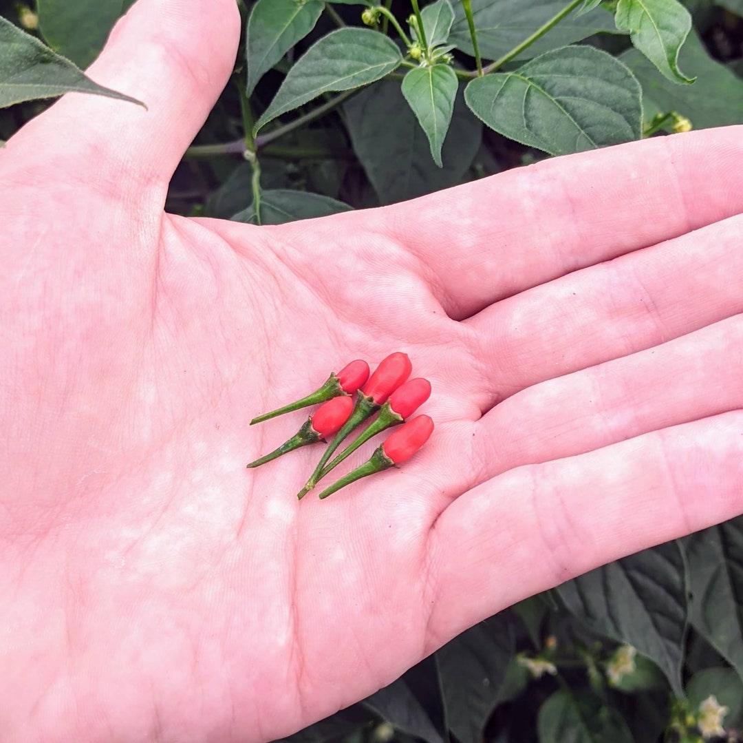 Cet article n'est pas disponible - Etsy