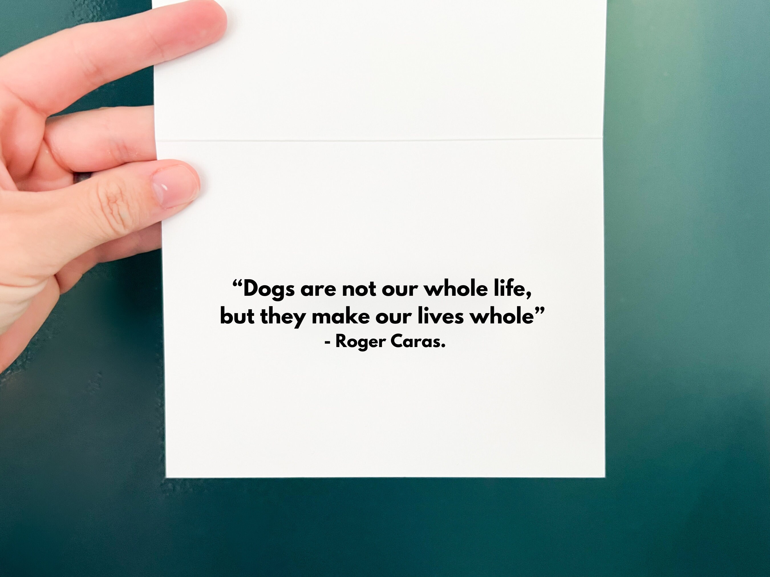 Dog Sympathy Card - Pet Loss Condolence - Pet Memorial Gift ...