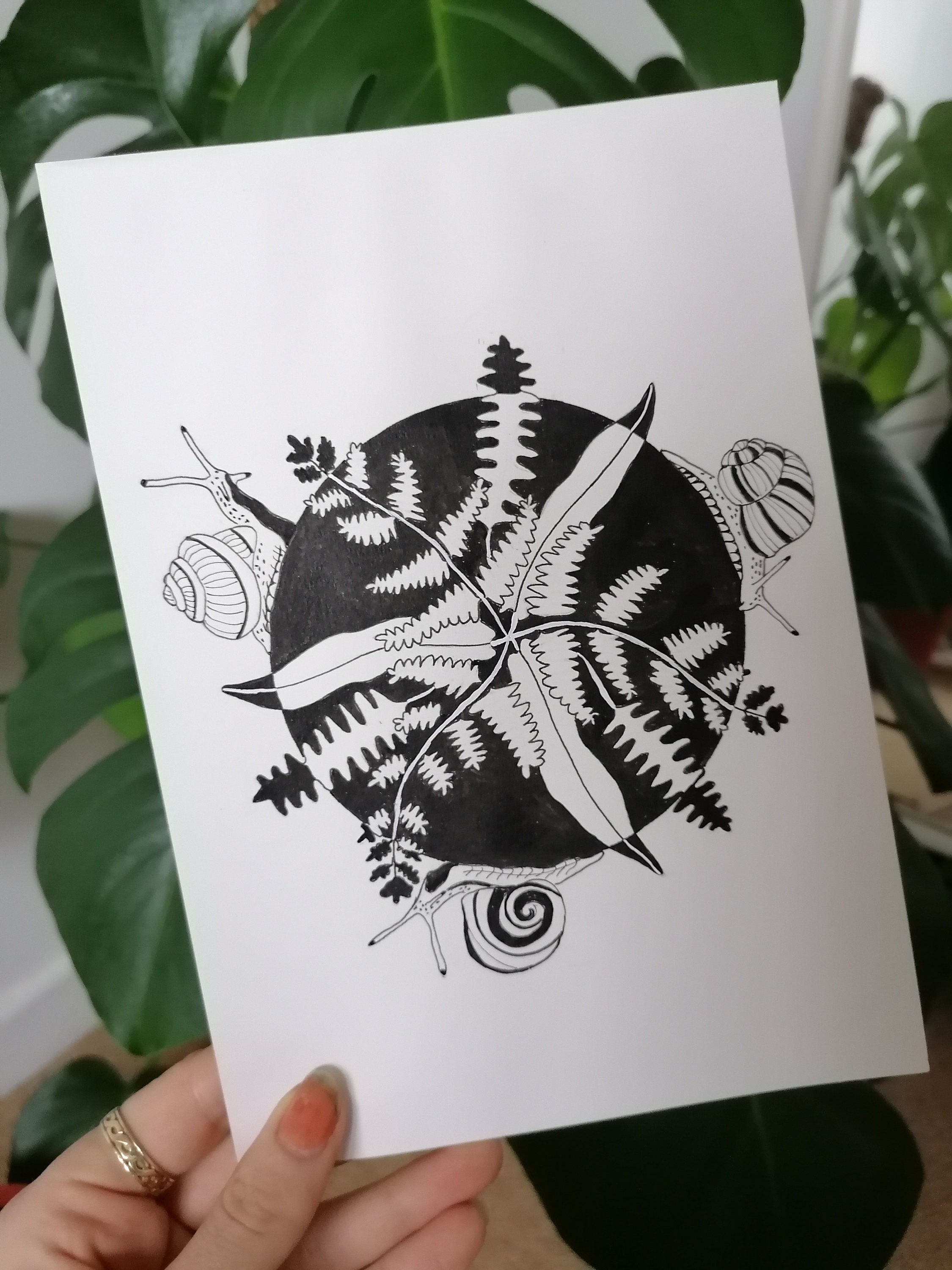Fern and Snail A5 Print - Etsy