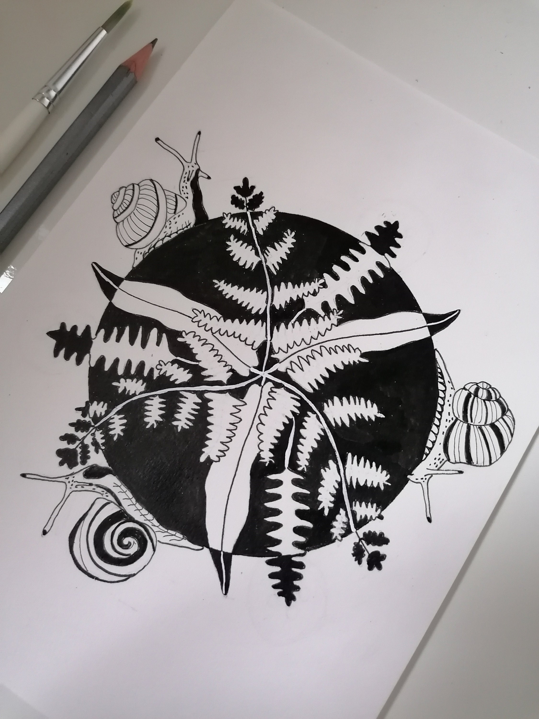 Fern and Snail A5 Print - Etsy