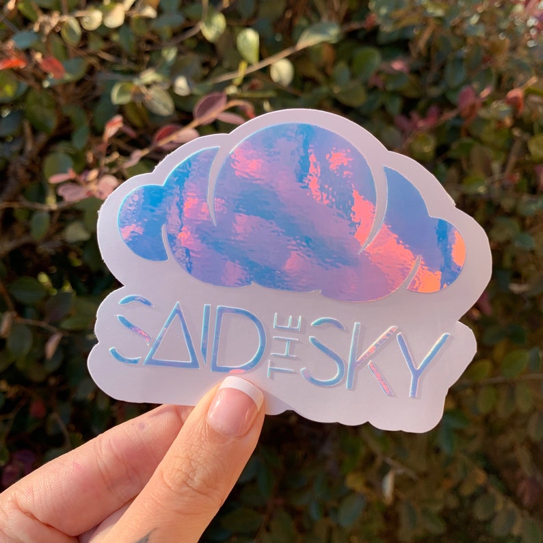 Said the Sky Decal EDM Vinyl Sticker for Car Window - Etsy