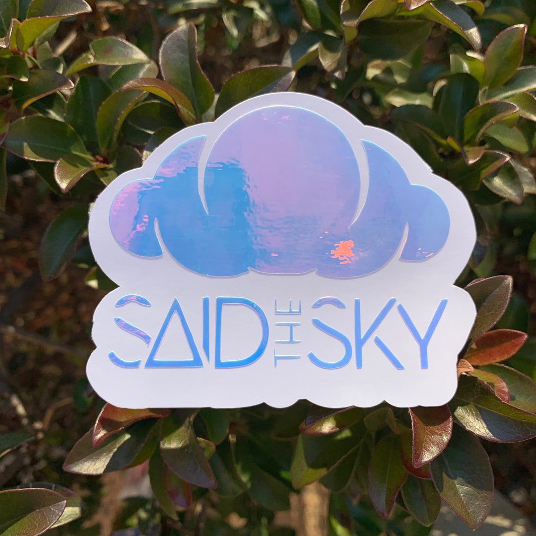 Said the Sky Decal, EDM Vinyl Sticker for Car, Window, Tumbler, Laptop ...