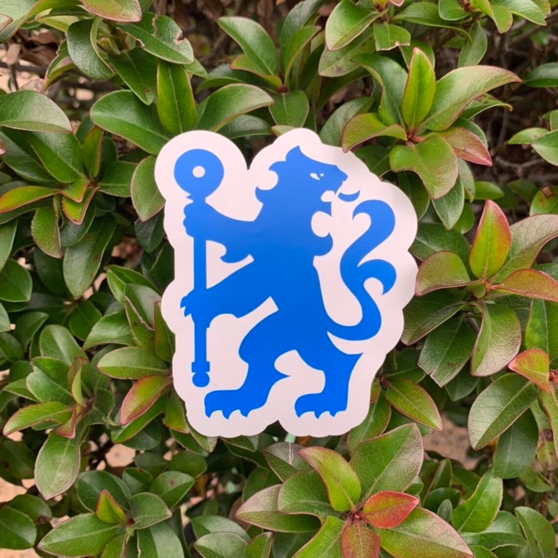 Chelsea FC Lion Decal Chelsea Lion Logo CFC Vinyl Sticker - Etsy