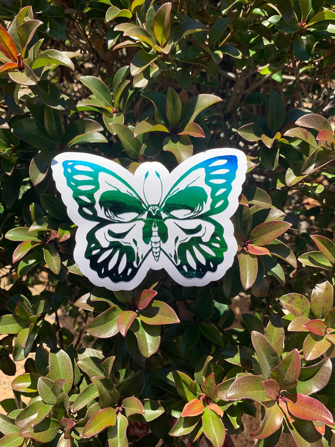 Skeleton Butterfly Decal, Butterfly Skull Vinyl Sticker for Car, Laptop ...