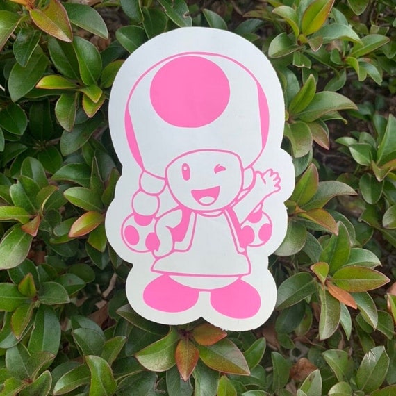 Pink Toad From Mario