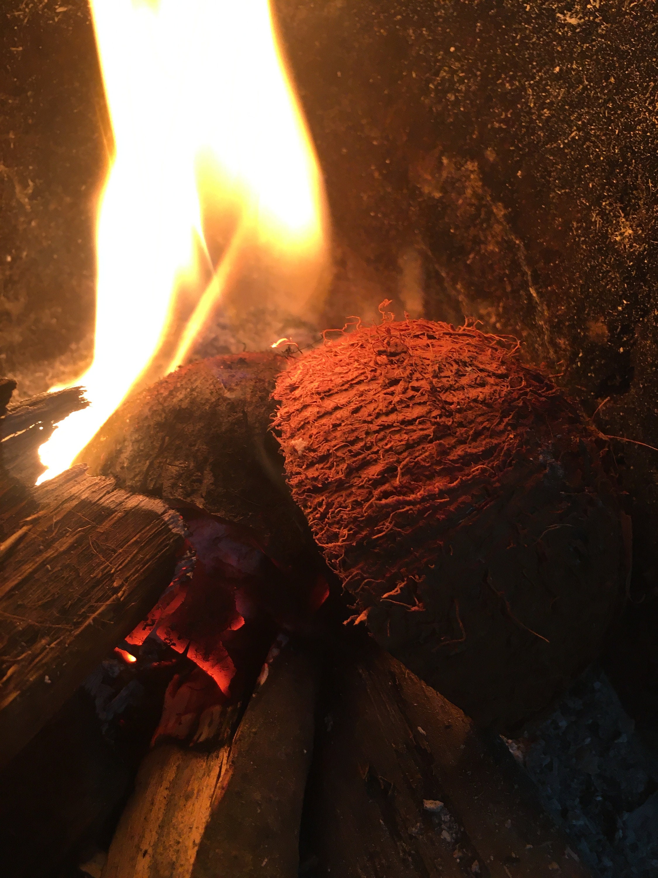 Coconut Shell Charcoal 100% Natural Ceylon Pure Activated Carbon - Etsy