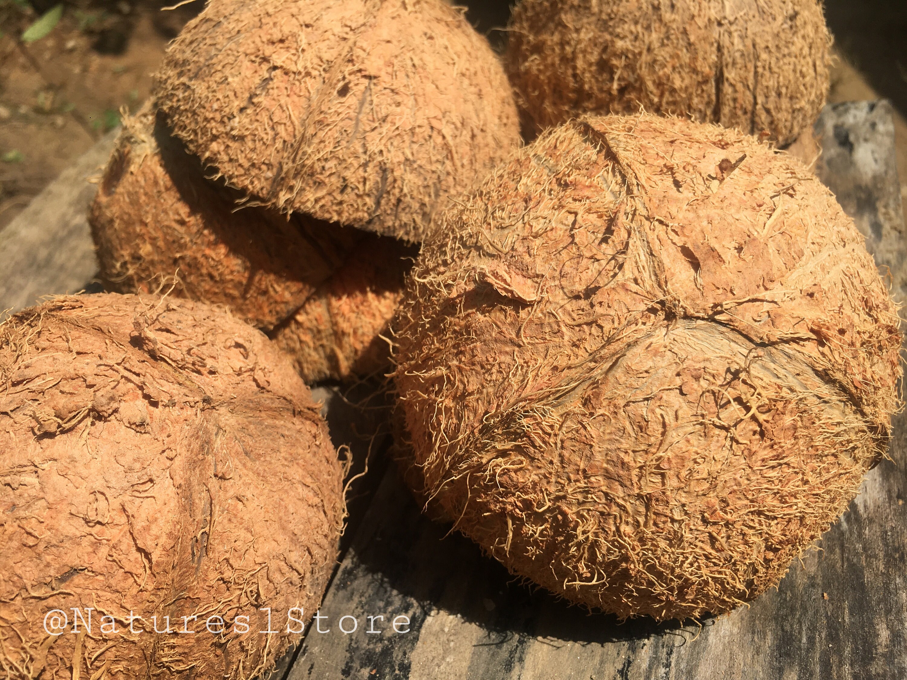 Coconut Shell Half 100% Natural Homemade Eco Friendly Pieces - Etsy