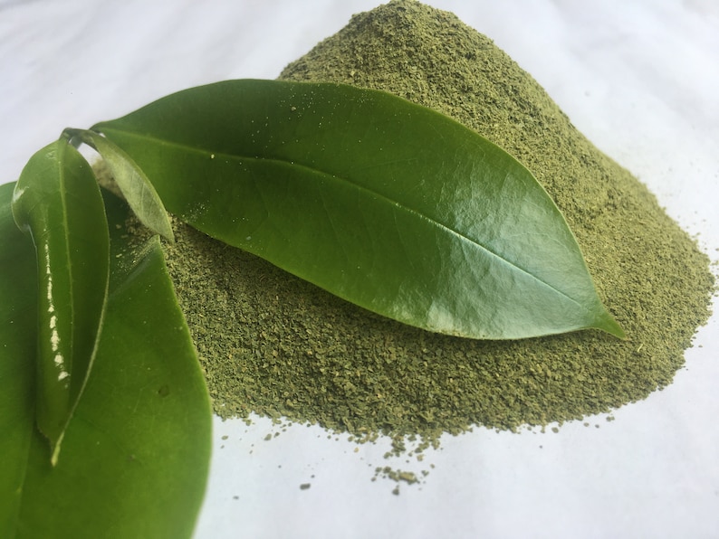 Soursop Leaves Powder 100% Natural Pure Annona Muricata Guanabana ...