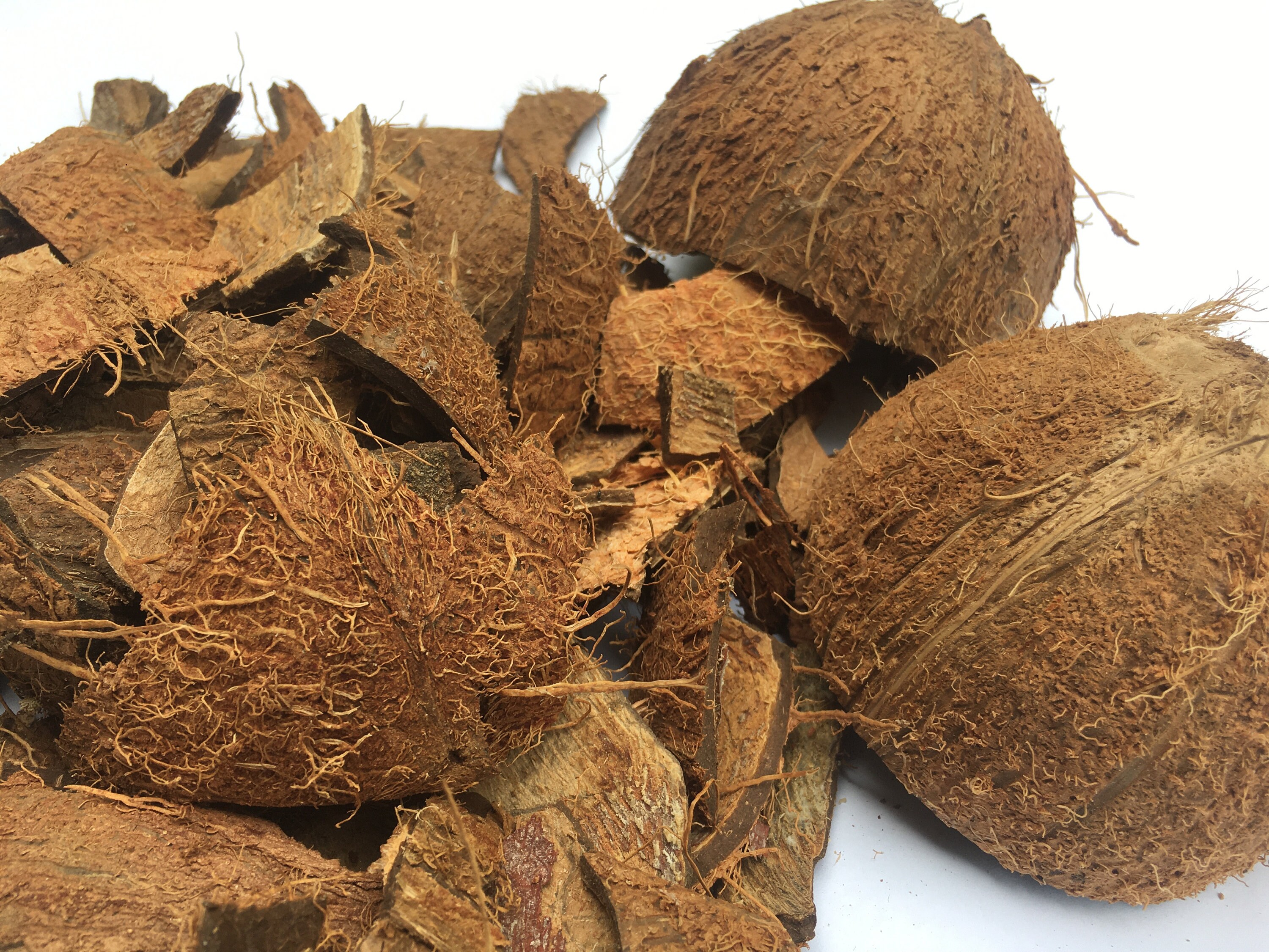 Coconut Shell Pieces 100% Natural Eco-friendly Coconut Shell Chips for ...