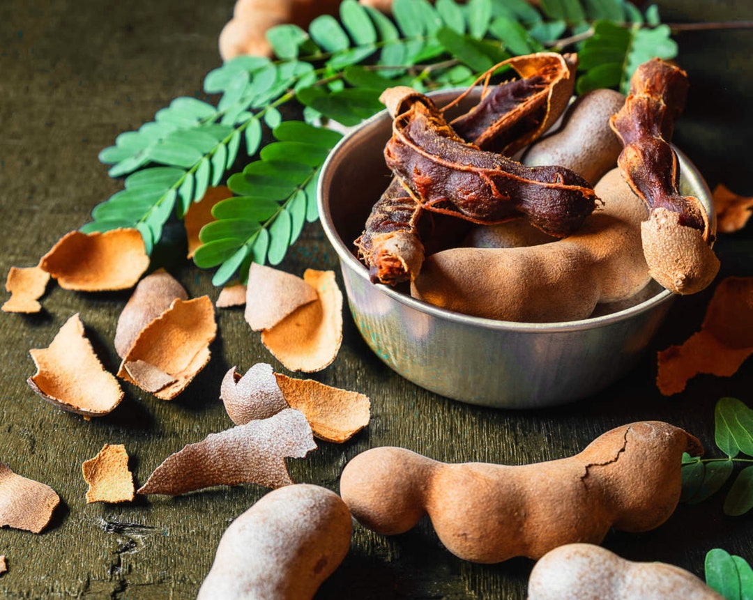 Tamarind Pods 100% Natural Dried Organically Pure Tamarindus Indica ...