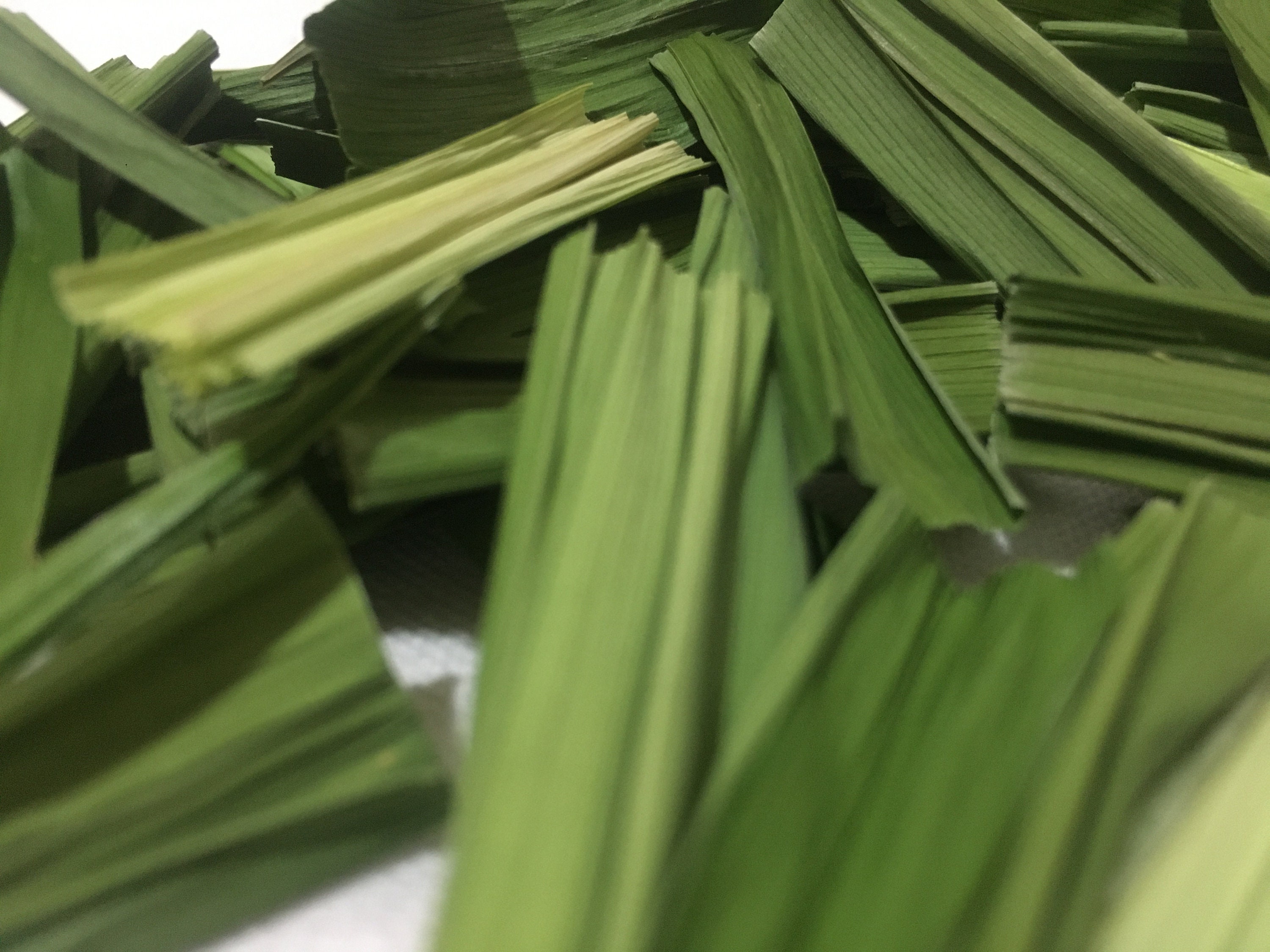 Pandan Leaf Dried Organically Home Grown Pandanus Amaryllifolius 100% ...