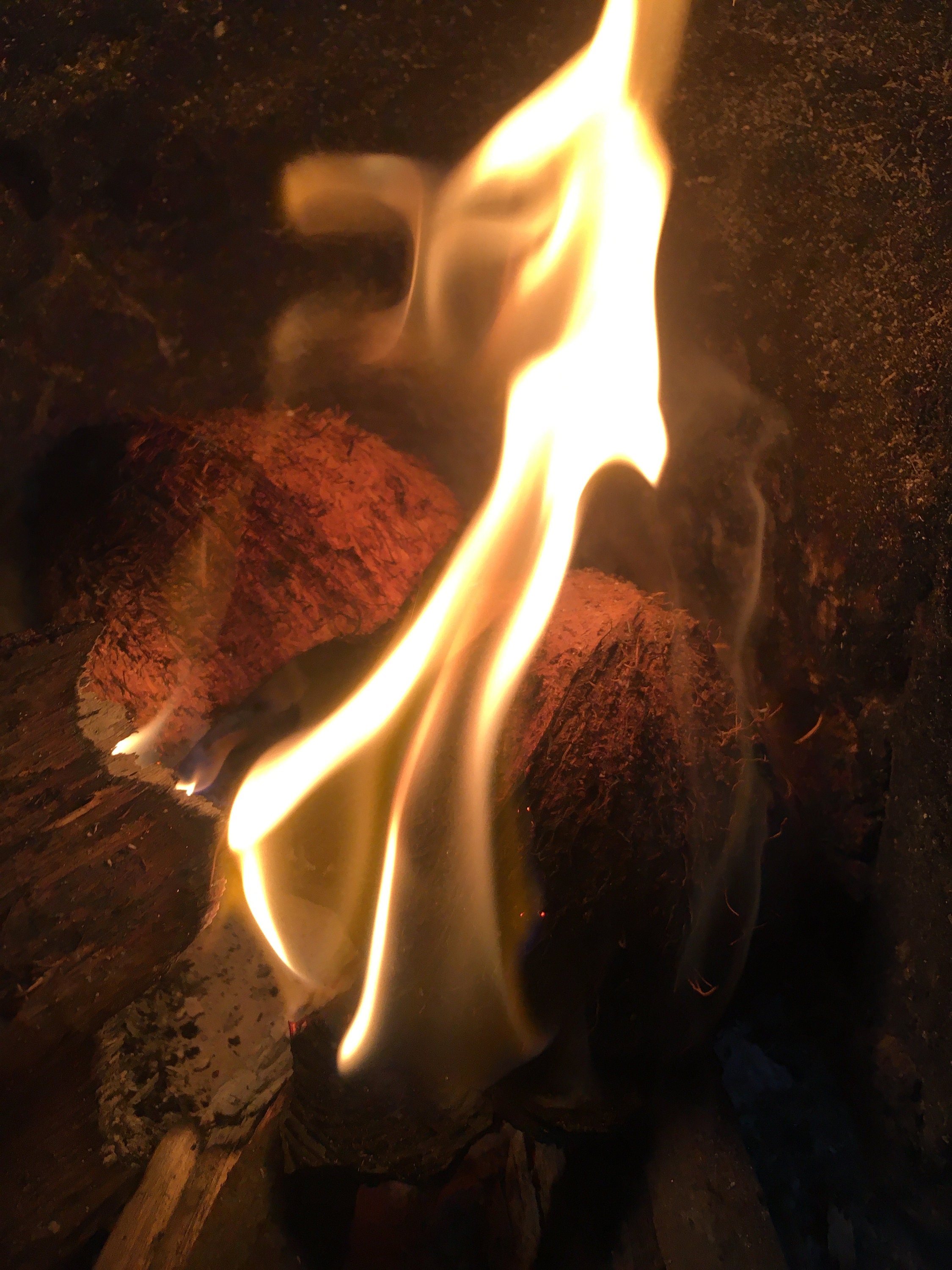 Coconut Shell Charcoal 100% Natural Ceylon Pure Activated Carbon - Etsy