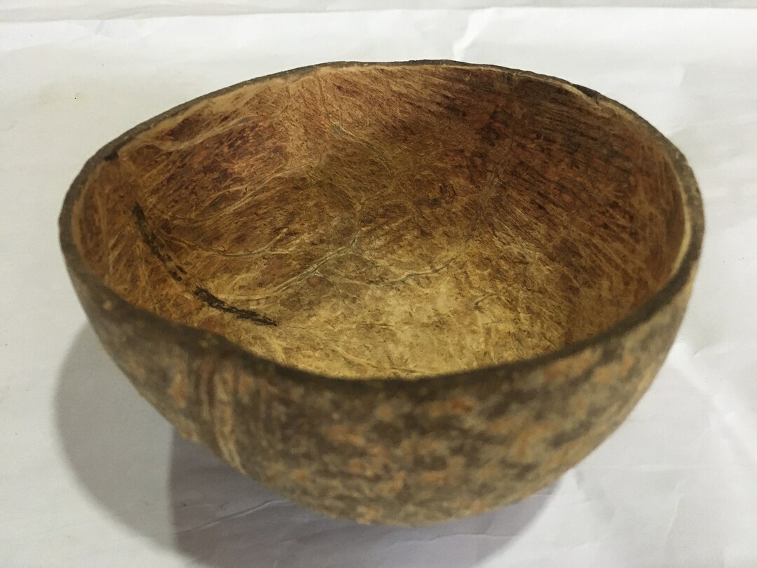 Coconut Shell Half 100% Natural Eco-friendly Coconut Bowl Without Fiber - Etsy
