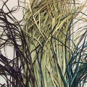 100 Dried Reeds Straps 100% Natural Handmade Wild Reeds Craft Works ...