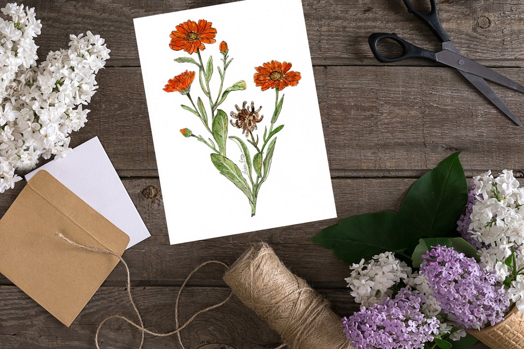 Calendula Art Print Free Bookmark and Sticker - Etsy