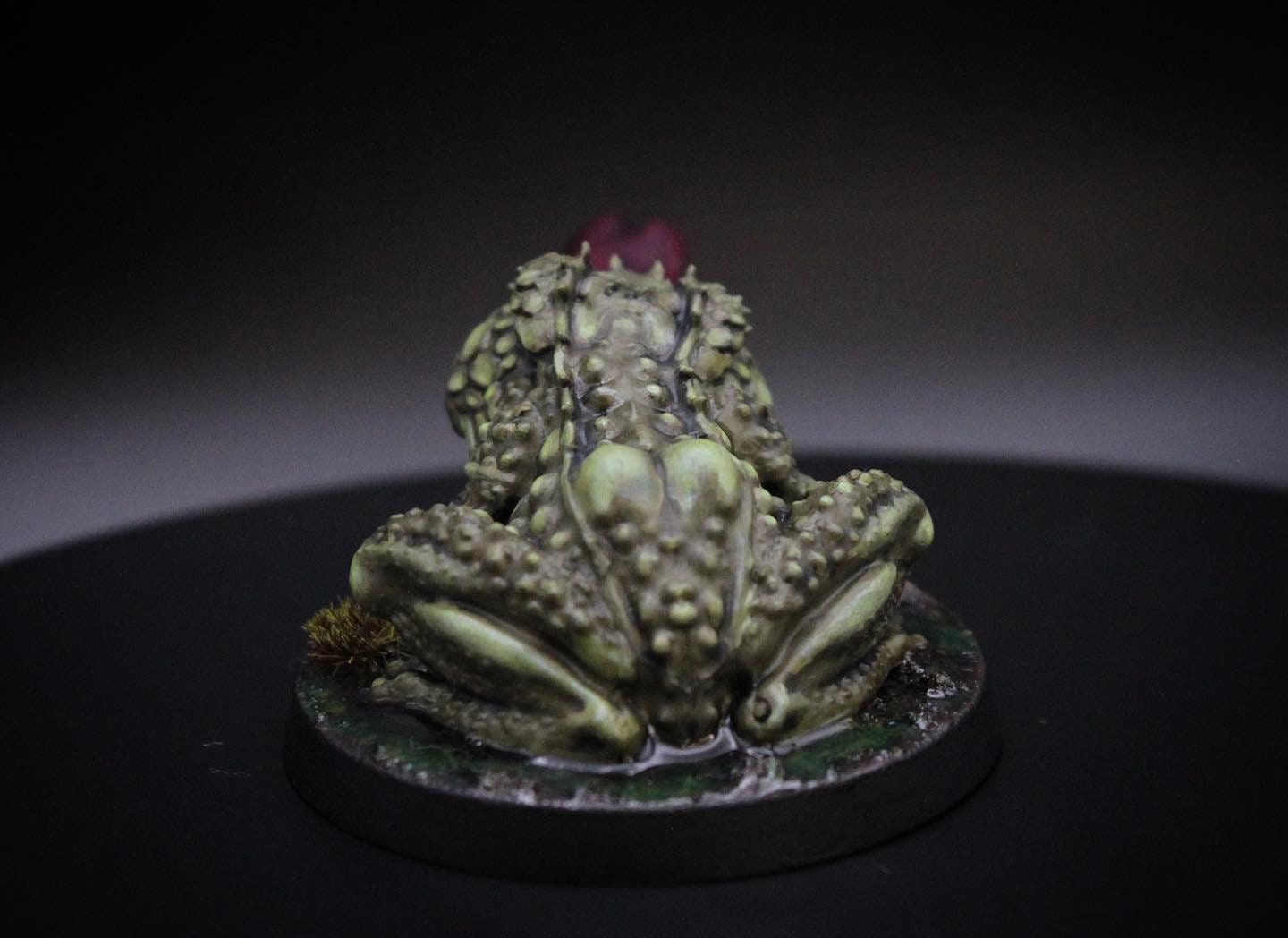 Painted Toad Miniatures / D&D / Pathfinder / Table Top Games / - Etsy