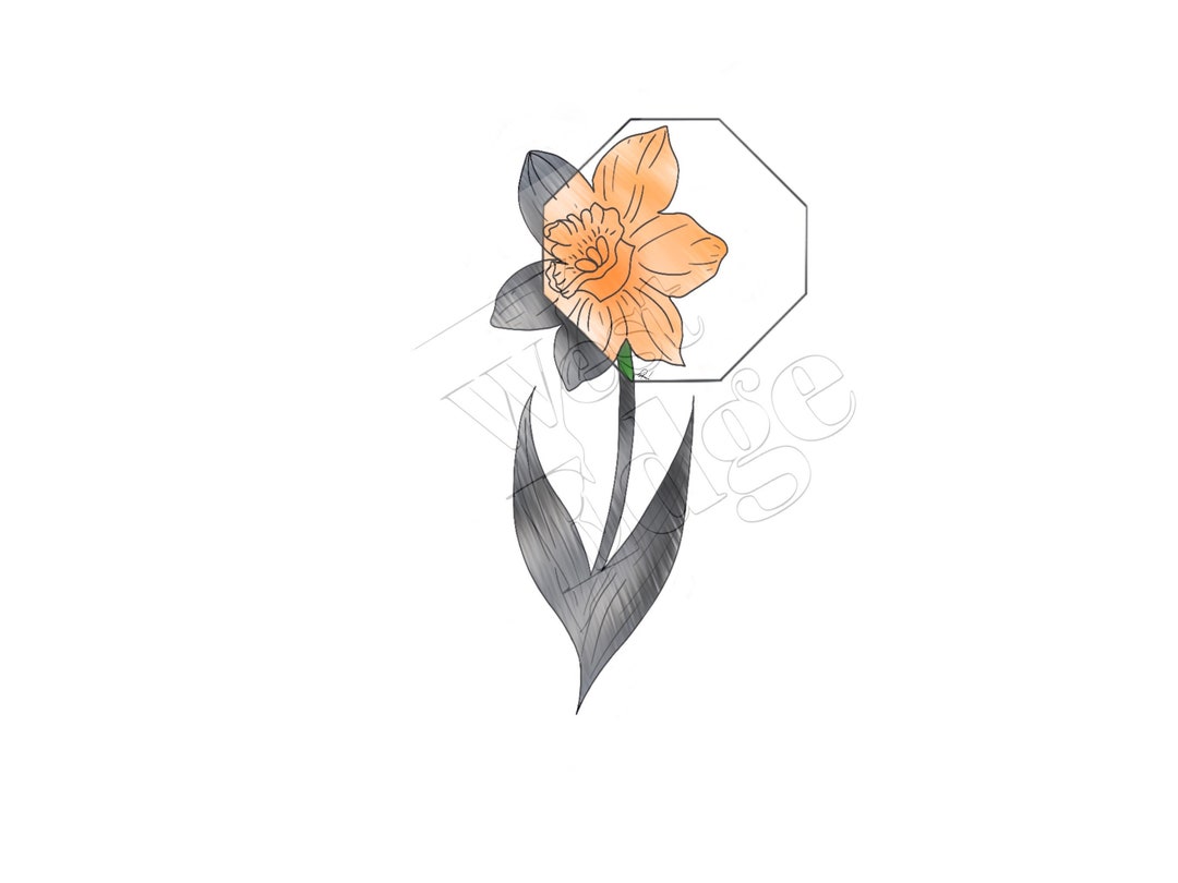 Daffodil Flower Art Print - Etsy