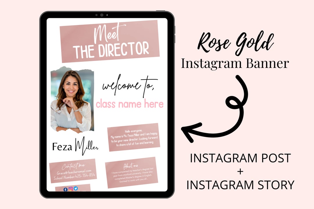 Childcare Director Flyer Rose Gold Meet the Director instagram ...