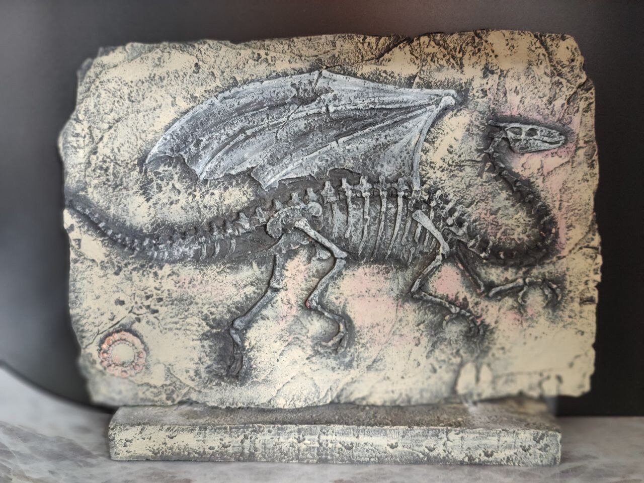 Real Dragon Fossil