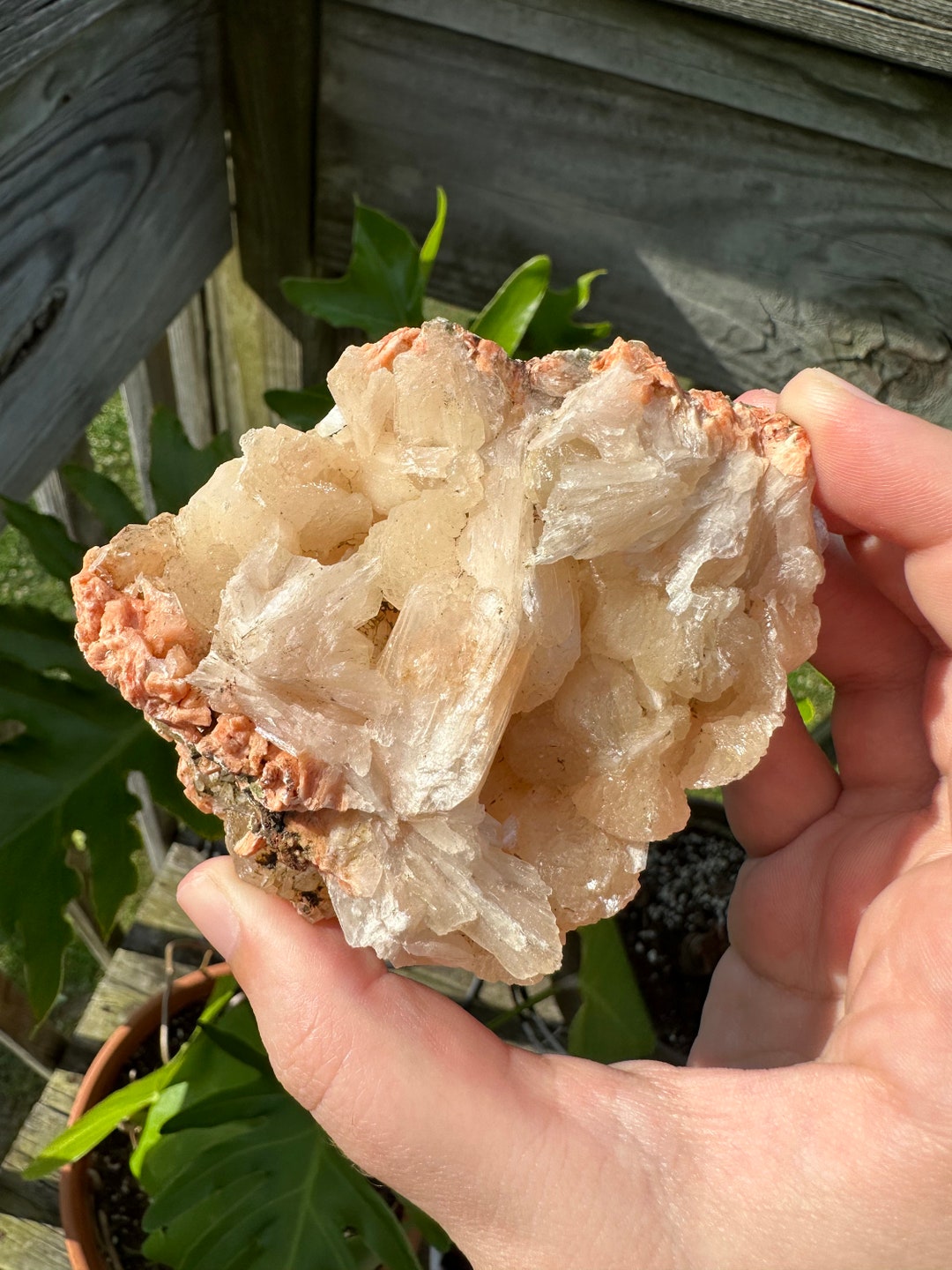 Peach Stilbite Zeolite Cluster J - Etsy