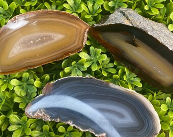 Agate Geode Halves - Etsy