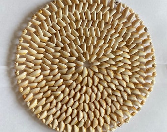 Shell Trivet | Etsy
