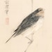 Original Bird With Wisteria Scroll Wall Art Chinese Bird Wall Art ...