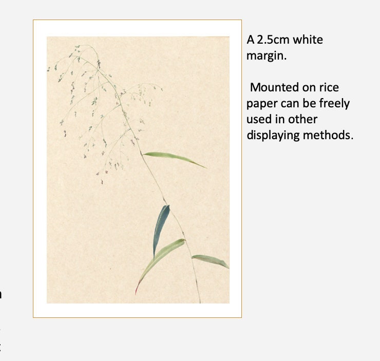 Original Grass Scroll Art Classic Chinese Wall Hanging Original Scroll Art Janpadi Wall Hanging ...