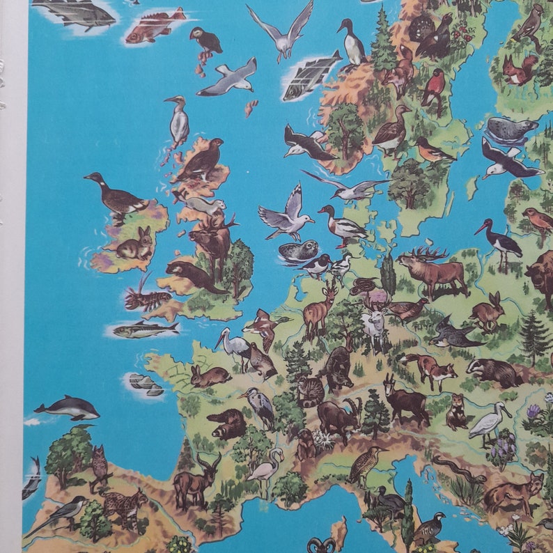 Pictorial Map: Europe Wild Animals and Plants 1960 - Etsy