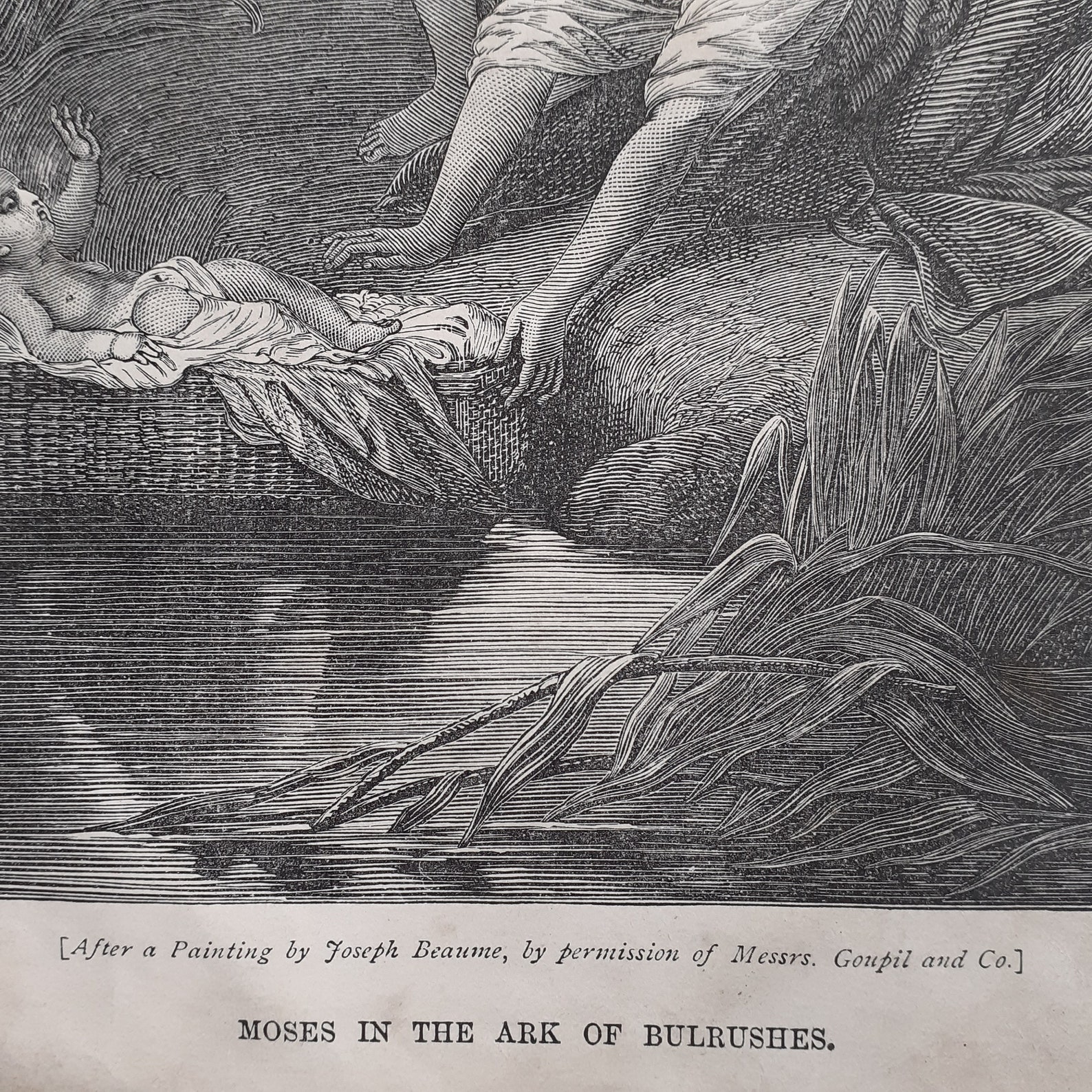 Victorian Bible Print – Moses in the Ark of Bulrushes - Etsy