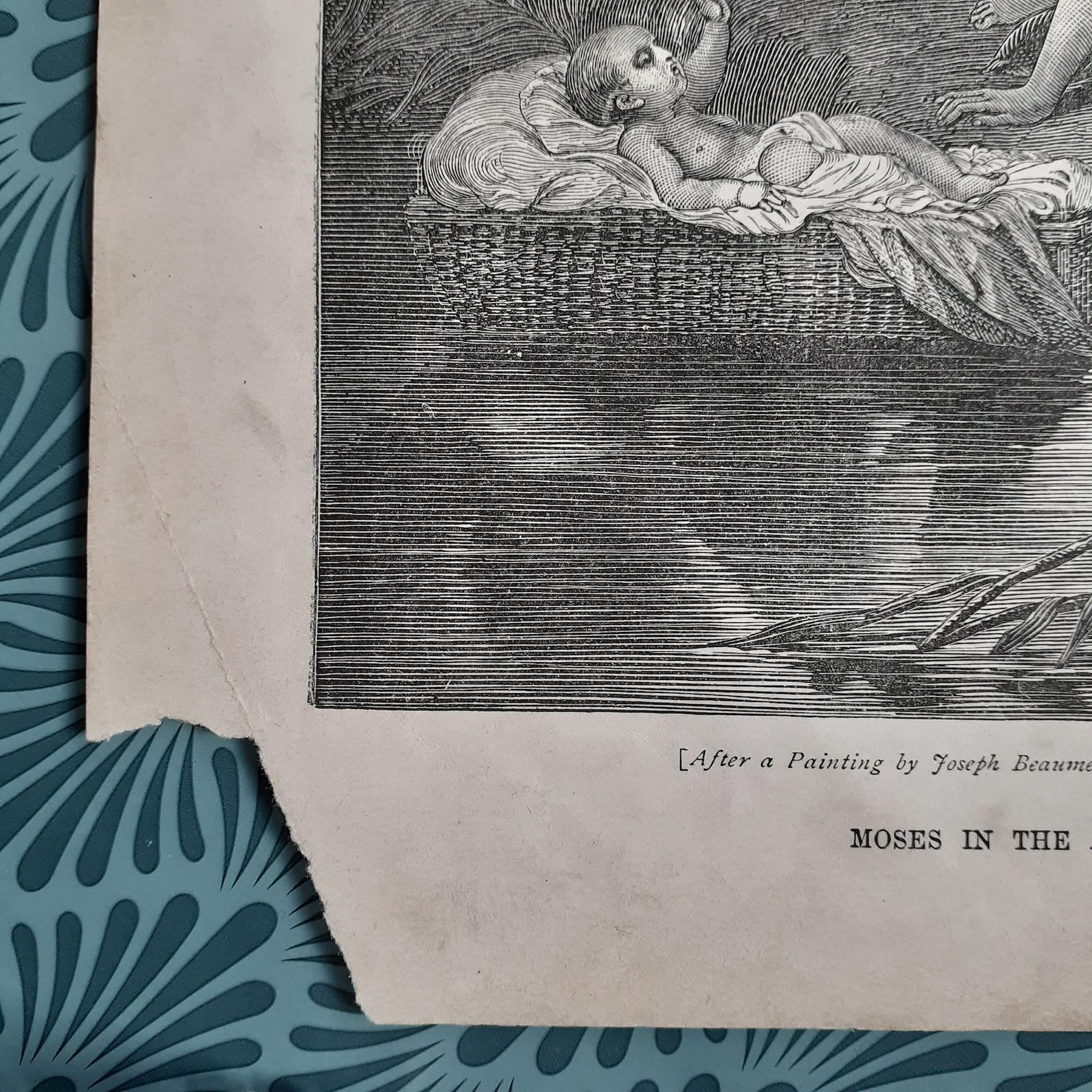 Victorian Bible Print Moses in the Ark of Bulrushes - Etsy