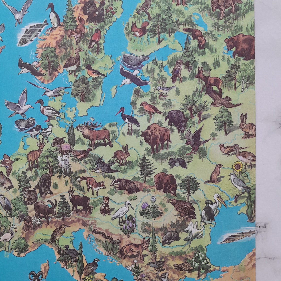 Pictorial Map: Europe – Wild Animals and Plants – 1960 – Illustrated by ...
