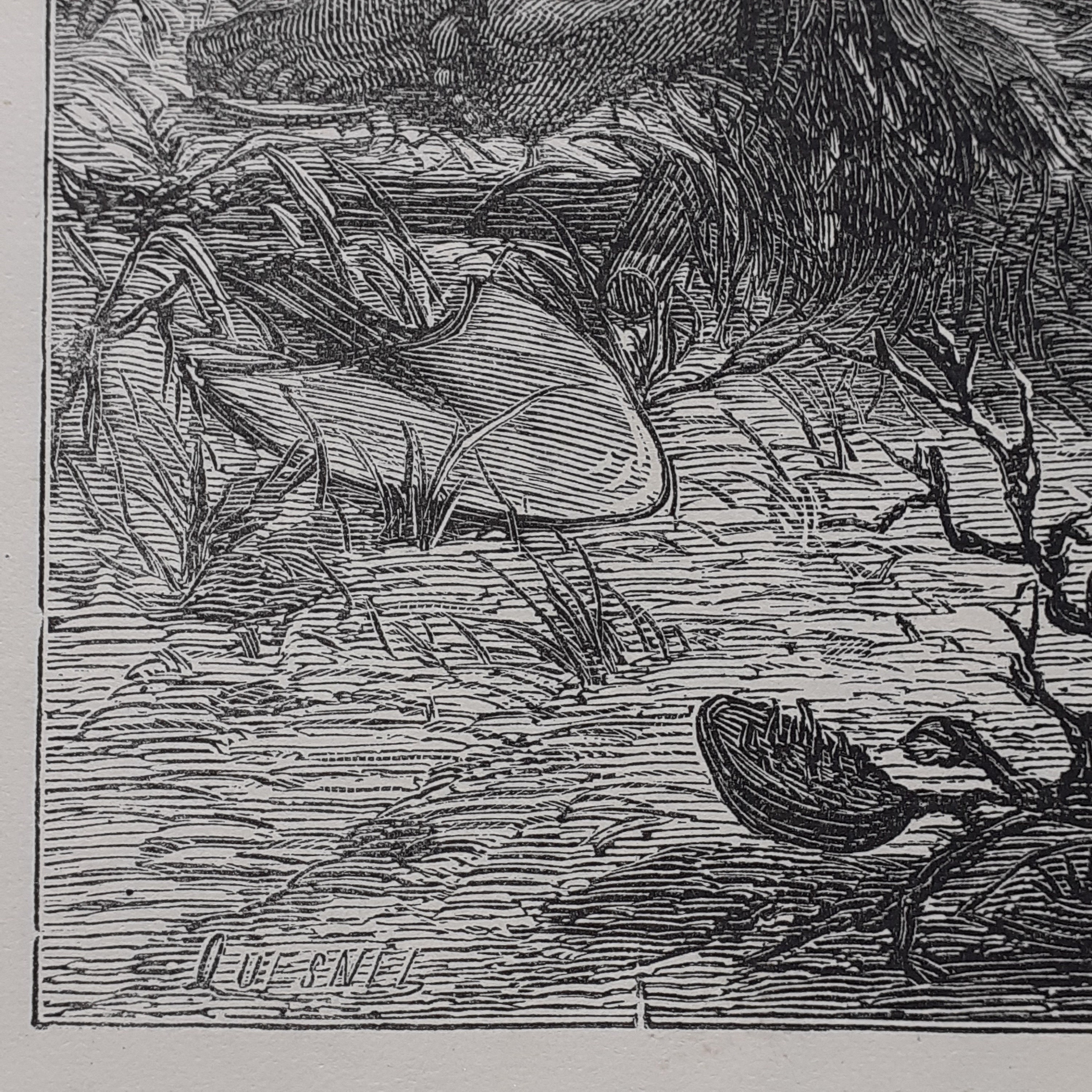 Laziness the Field of the Slothful Victorian Bible Print by J Grey ...