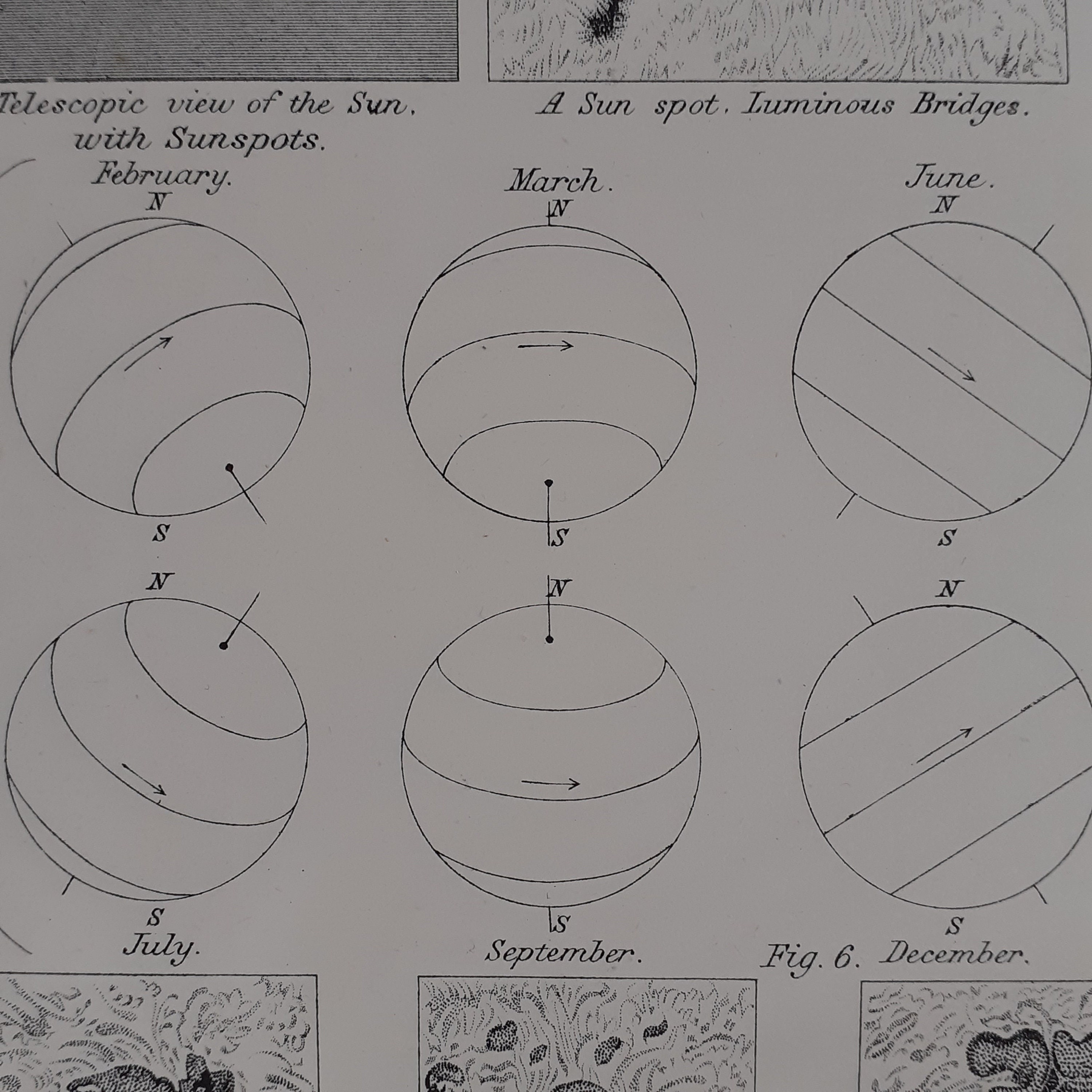Astronomy the Sun Solar Spots Ca 1900s Victorian Print - Etsy
