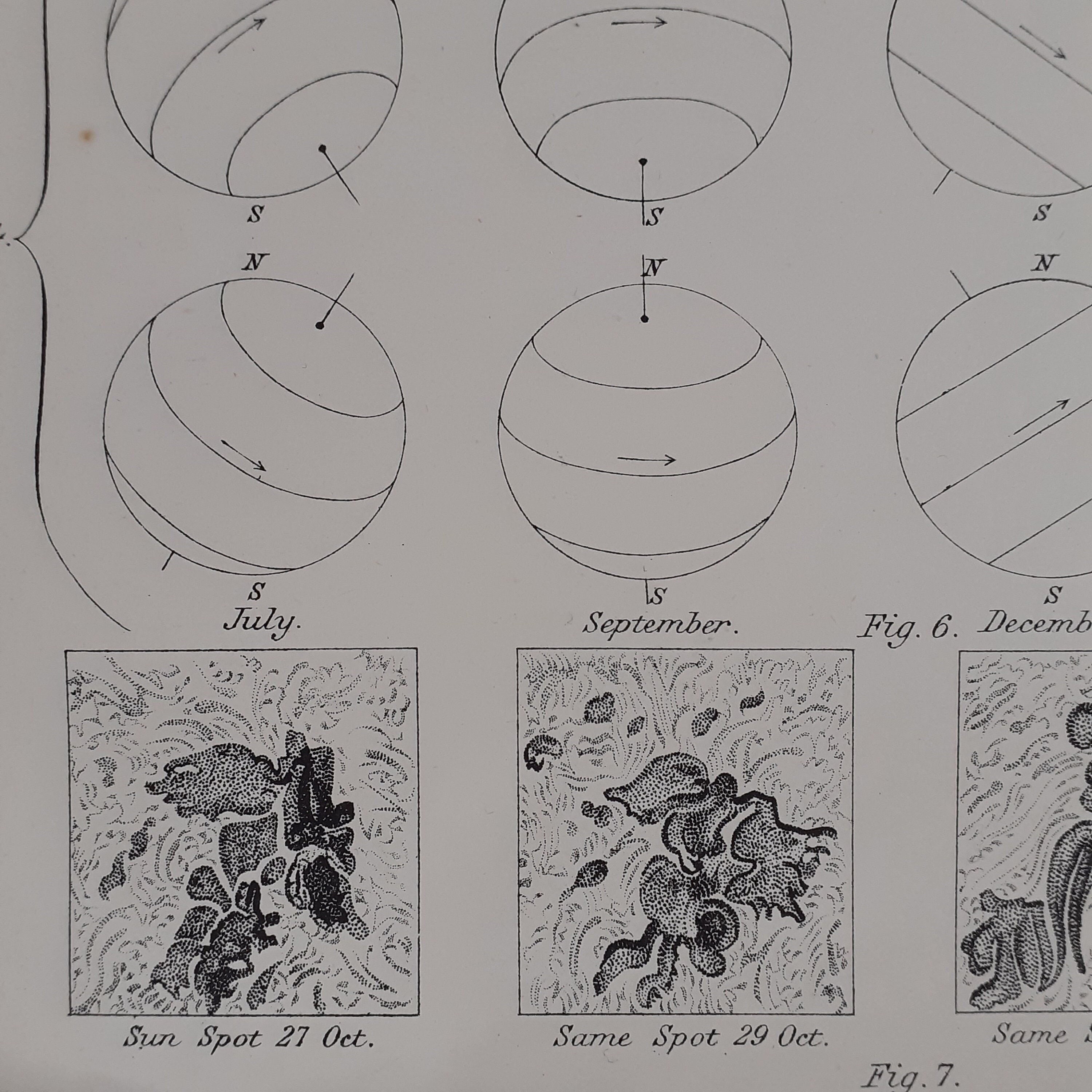 Astronomy the Sun Solar Spots Ca 1900s Victorian Print - Etsy