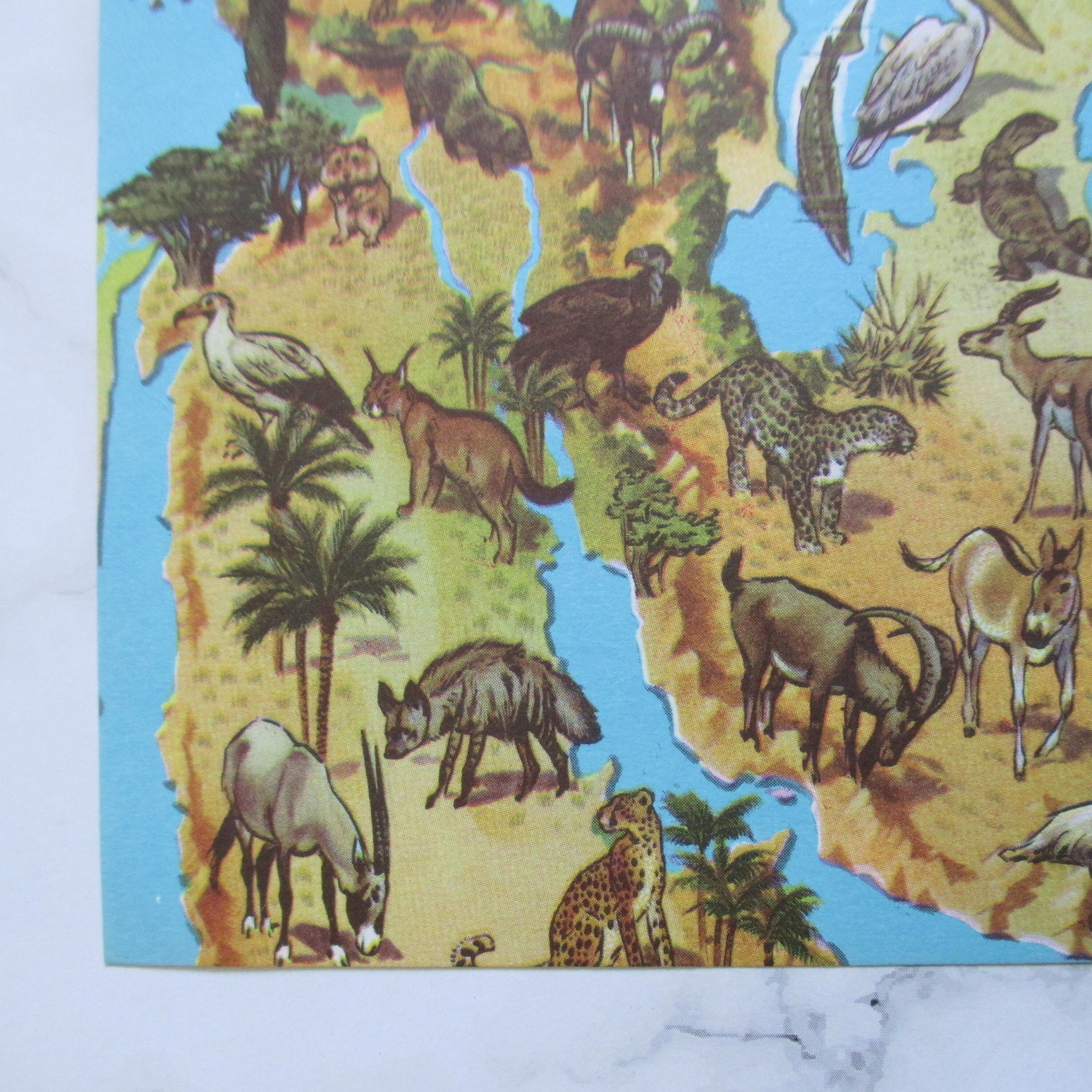 Pictorial Map: North Asia – Wild Animals and Plants – 1960 ...