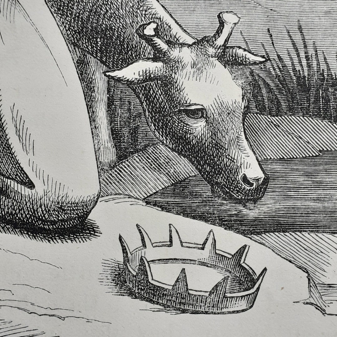 Victorian Bible Etching/engraving as the Heart Panteth After the Water ...