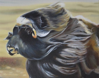 Musk Ox Painting - Etsy