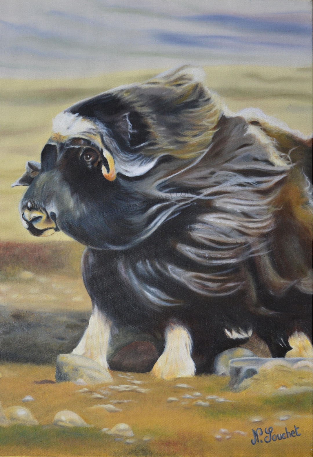 Original Oil Painting of a Musk Ox - Etsy