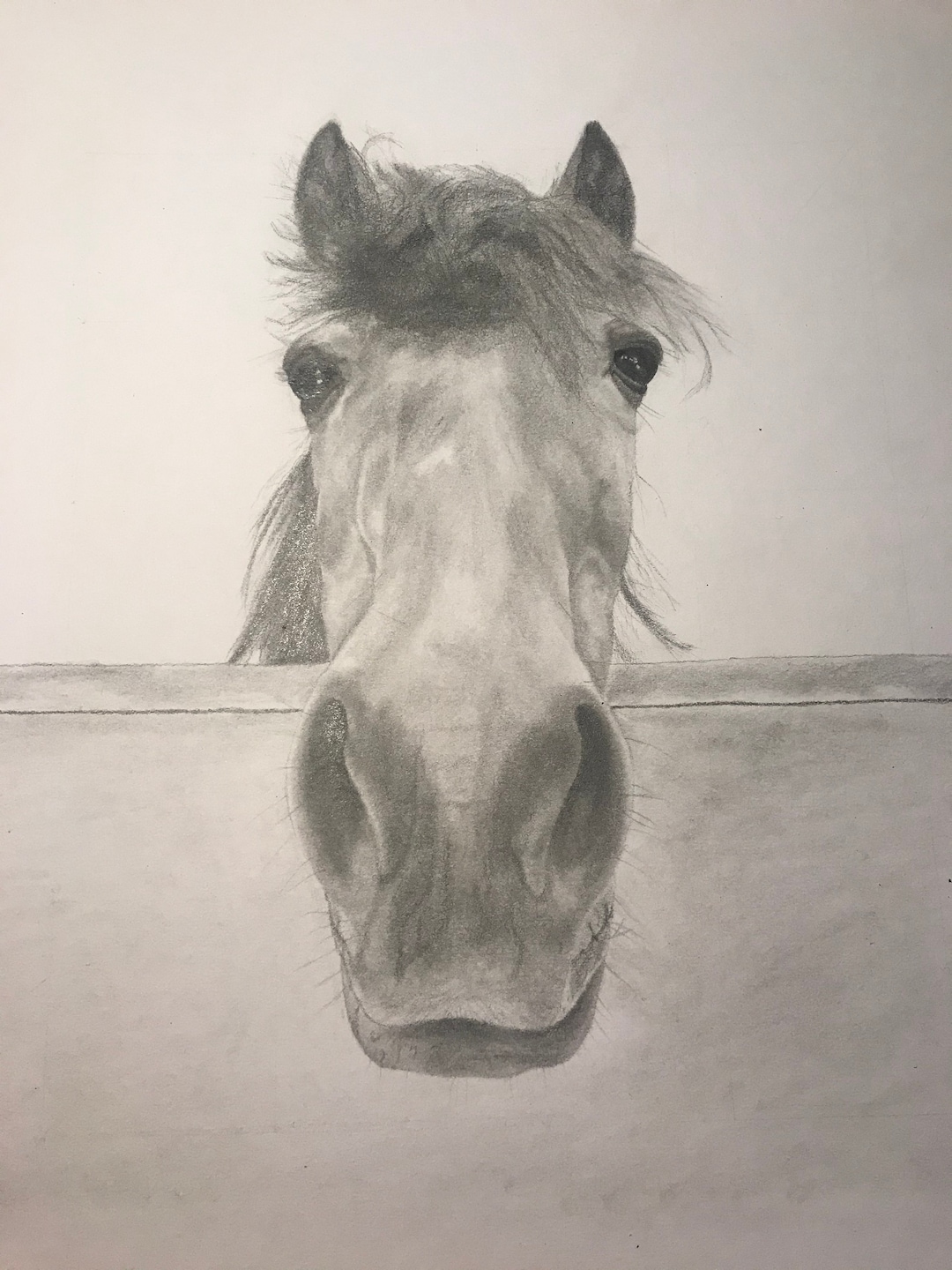Twiki horse Pencil Drawing Print - Etsy