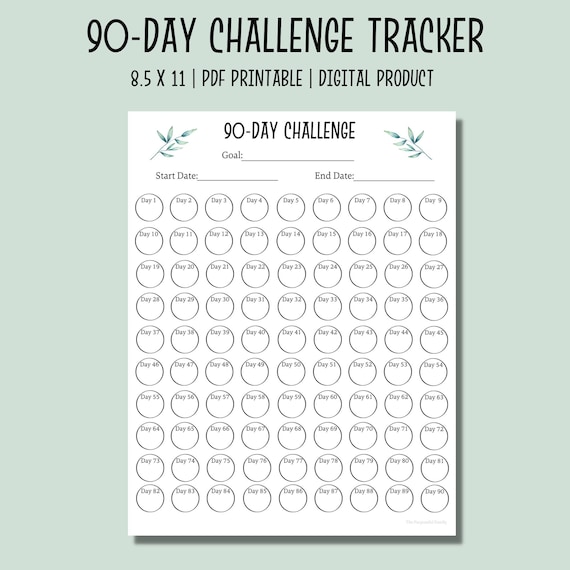 90 Day Money Challenge Chart