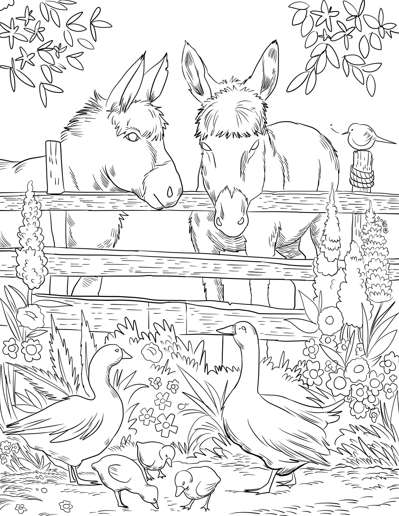 Farm Donkeys - Printable Adult Coloring Page From Manila Shine ...