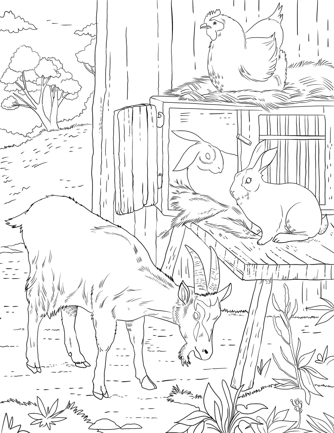 Farm Goat Printable Adult Coloring Page From Manila Shine coloring Book ...