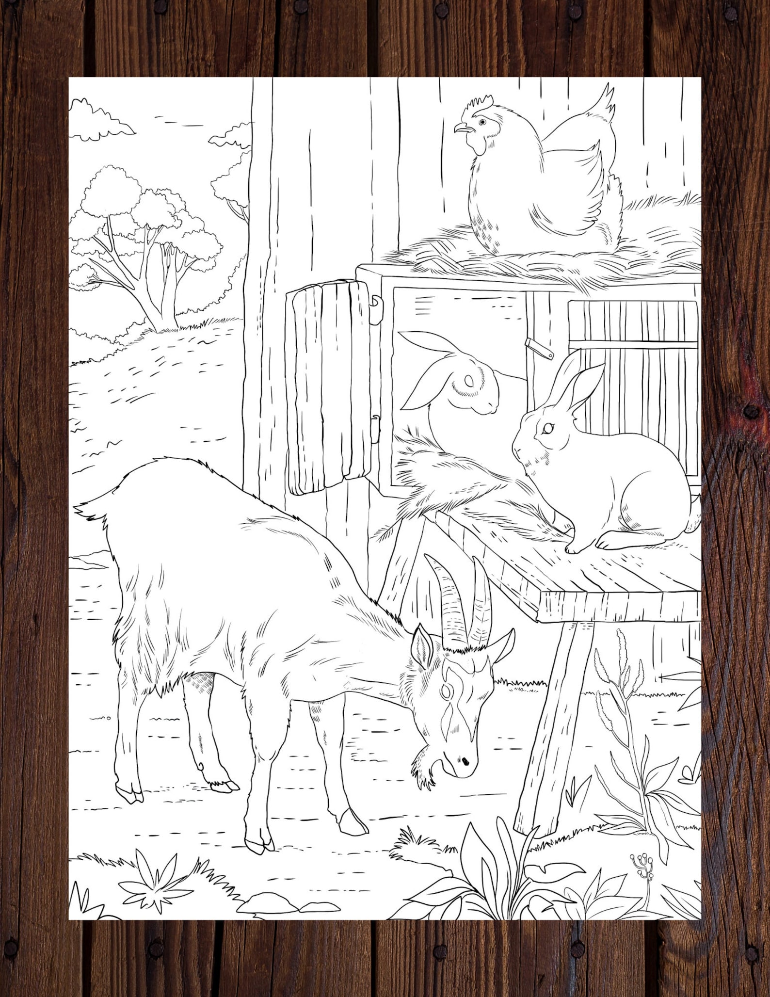 Farm Goat Printable Adult Coloring Page From Manila Shine coloring Book ...