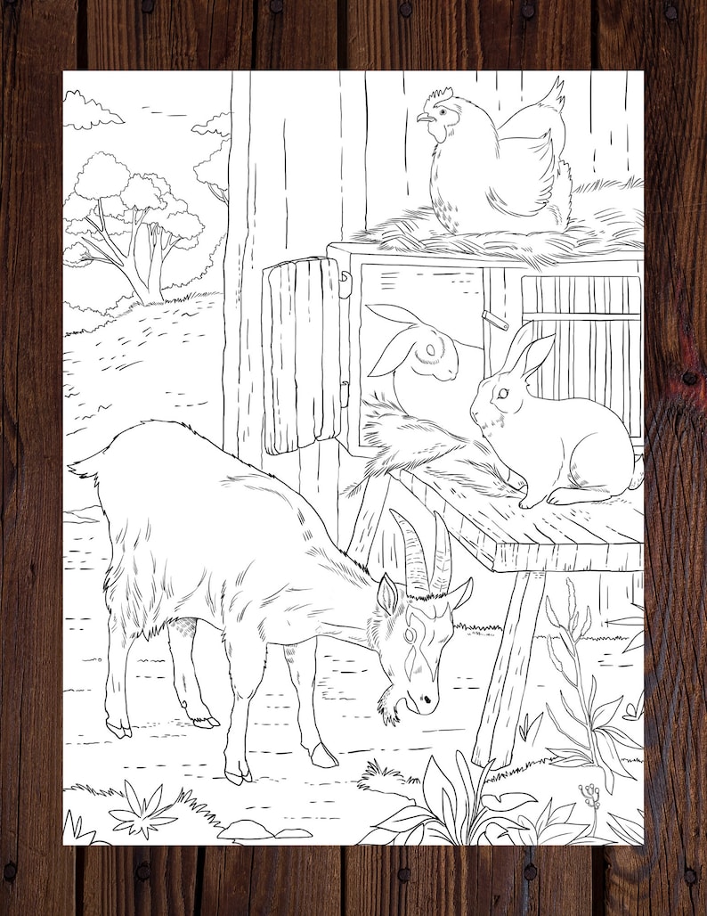 Farm Goat Printable Adult Coloring Page From Manila Shine coloring Book ...