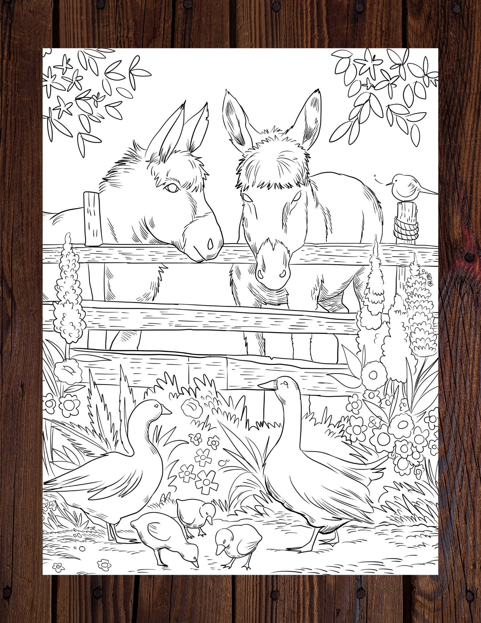 Democratic Donkey Coloring Page