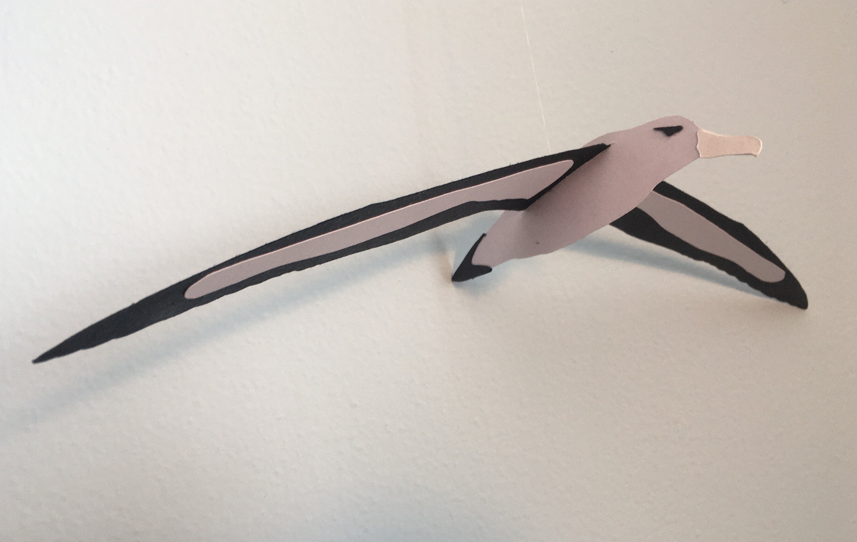 Black-browed Albatross Paper Bird Mobile | Etsy
