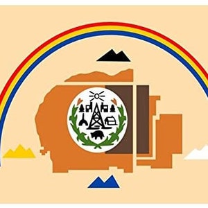 Large Navajo Nation Flag 3x5 Feet Flag Native American Indigenous ...