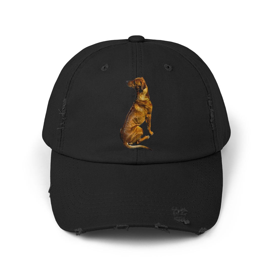 Ridgie Rhodesian Ridgeback Lion Dog Cap, Distressed Baseball Hat ...