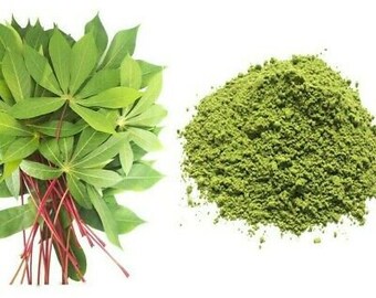 Cassava Leaf Powder - Etsy